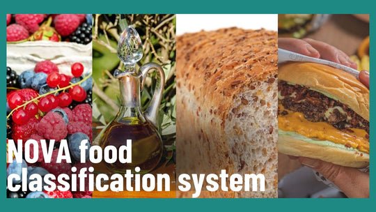 NOVA Food Classification: Simplified | 33Fuel